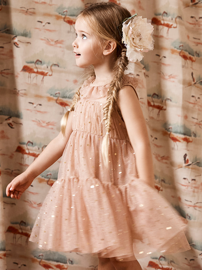 Twinkle Twinkle Moon and Star Dress – Miss Rose Sister Violet