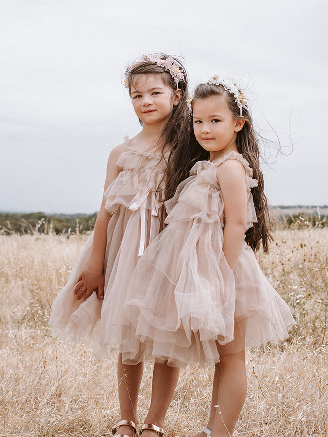 Fairy Floss Dress – Miss Rose Sister Violet