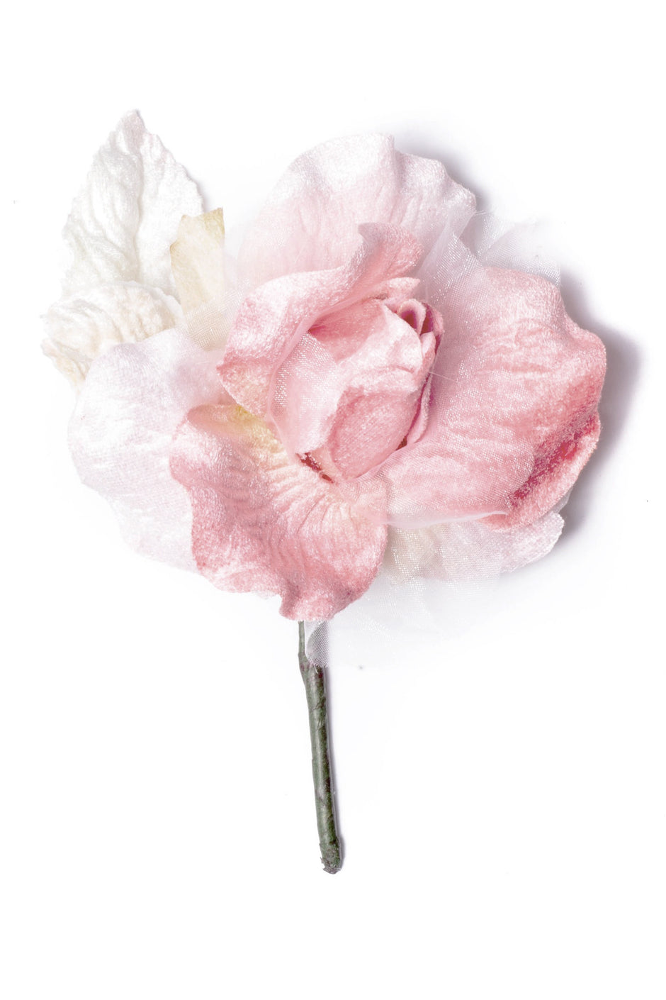 Flowers – Miss Rose Sister Violet